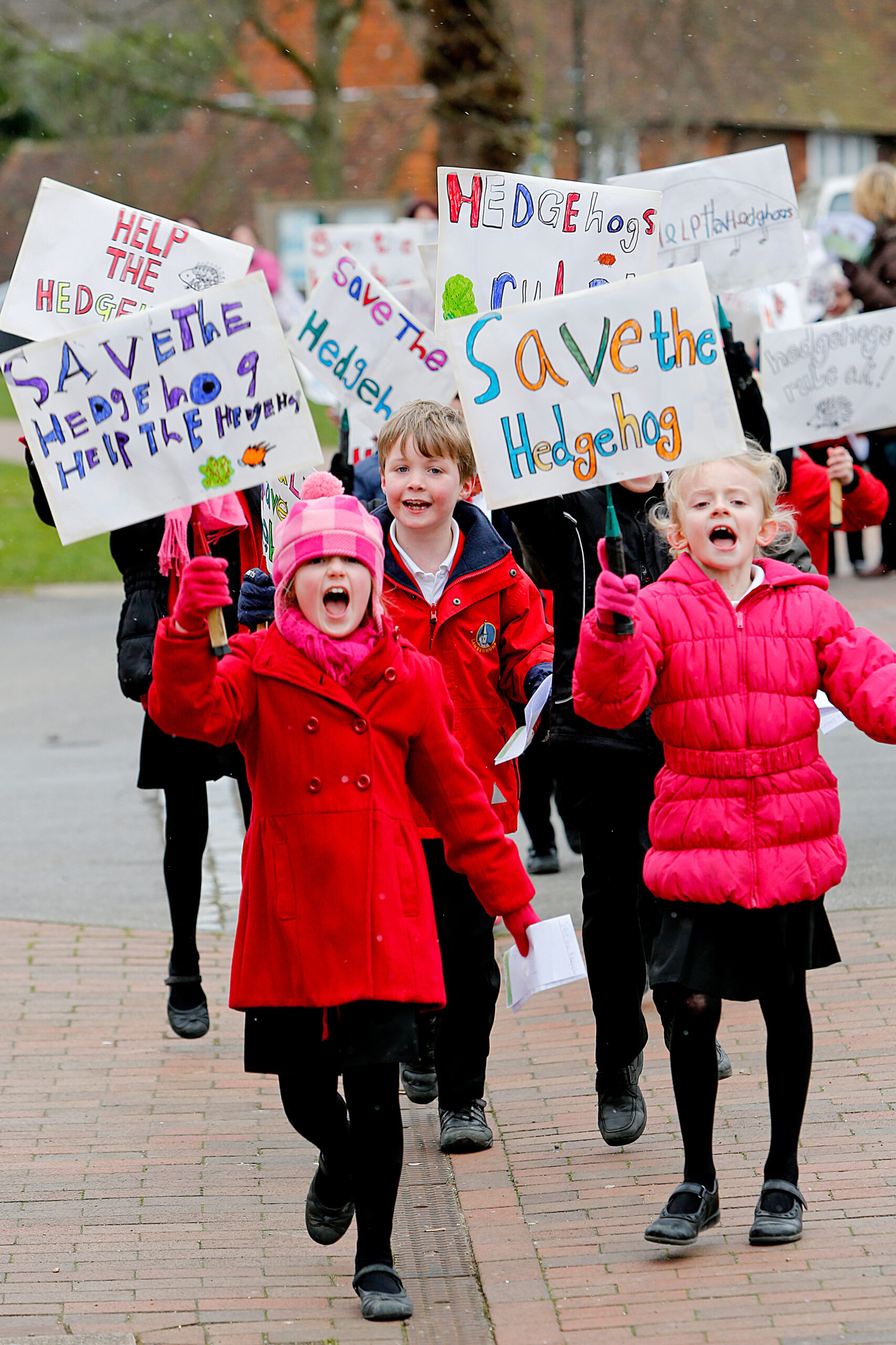 Make a Difference Challenge - Young Citizens