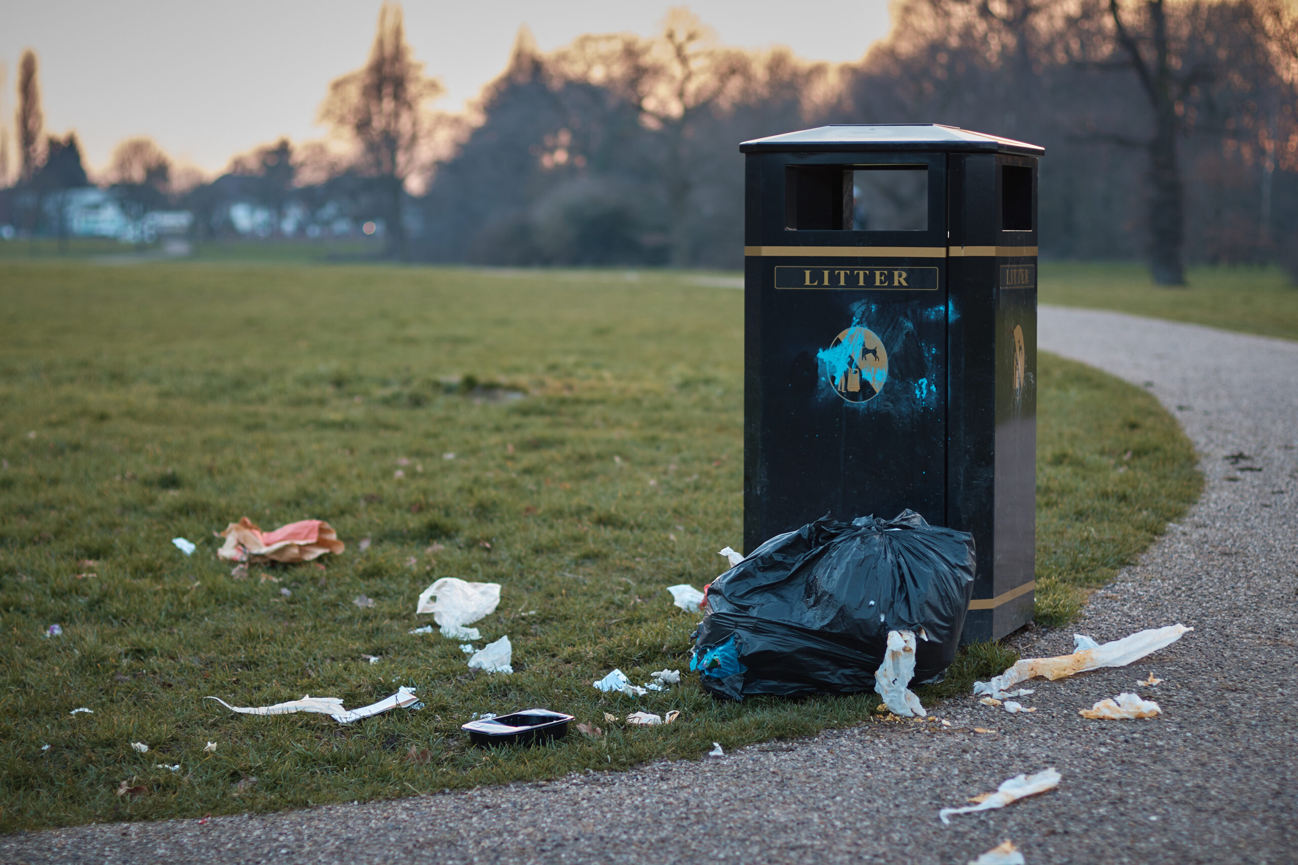 Litter: The Picnic - Young Citizens