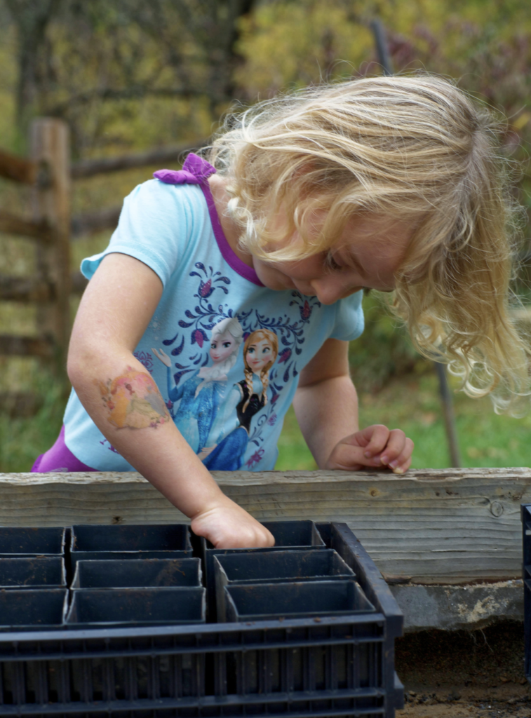 We make a difference in our communities - Young Citizens